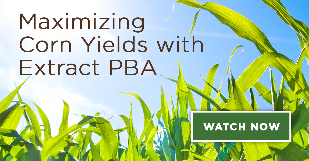 Agriculture Webinar | Maximizing Corn Yields with Extract PBA